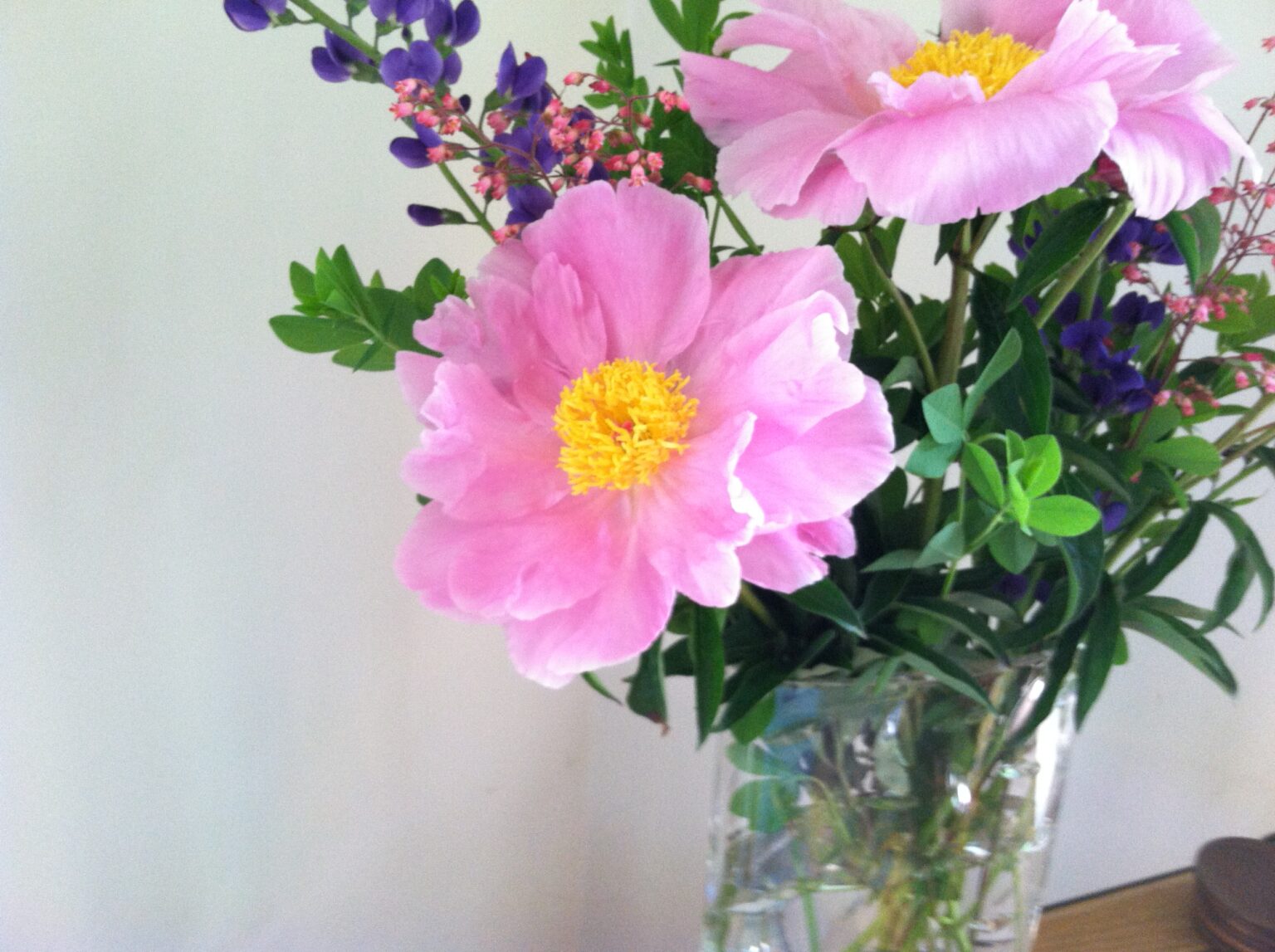 New Putman Place WebSite – New Putman Place web site using WordPress