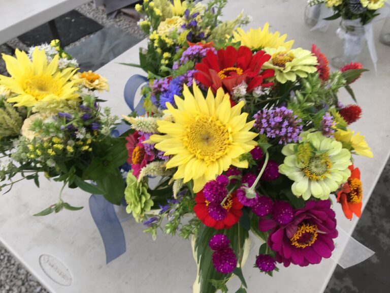 New Putman Place WebSite – New Putman Place web site using WordPress