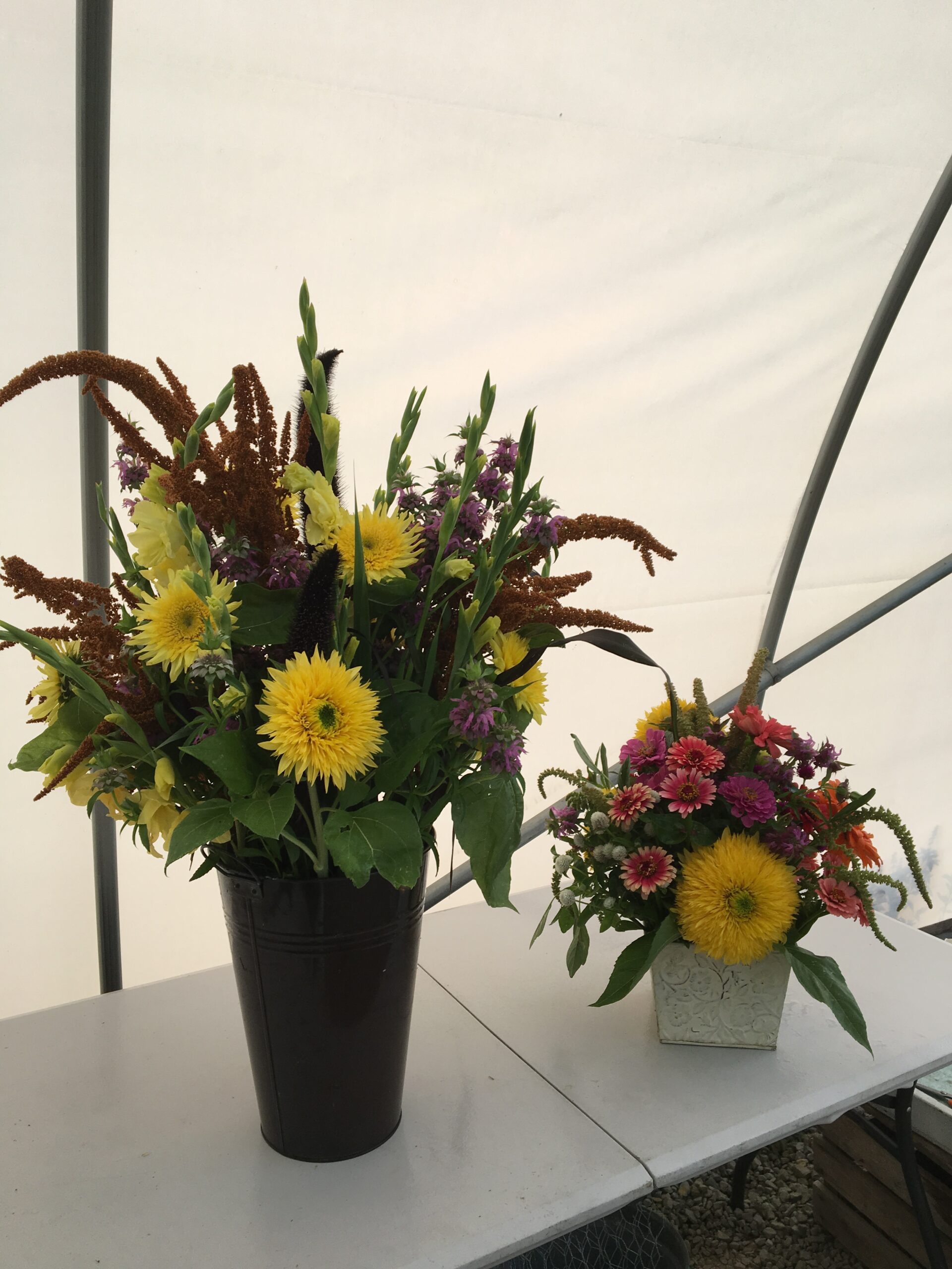 New Putman Place WebSite – New Putman Place web site using WordPress